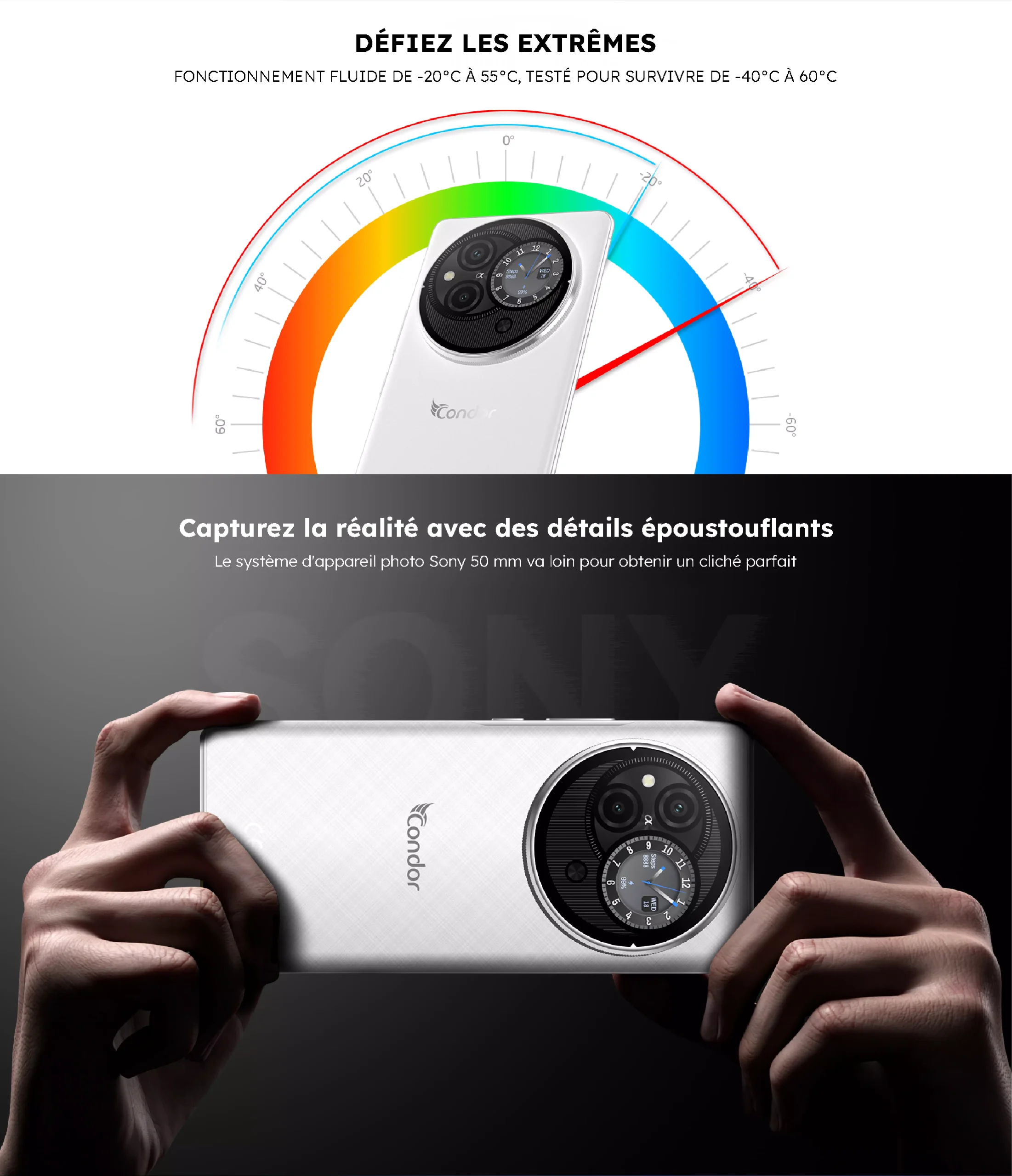 GT 80 pro - condor